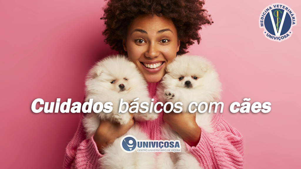 Cuidados básicos com cães – Aprenda a cuidar do seu cãozinho! – Blog ...